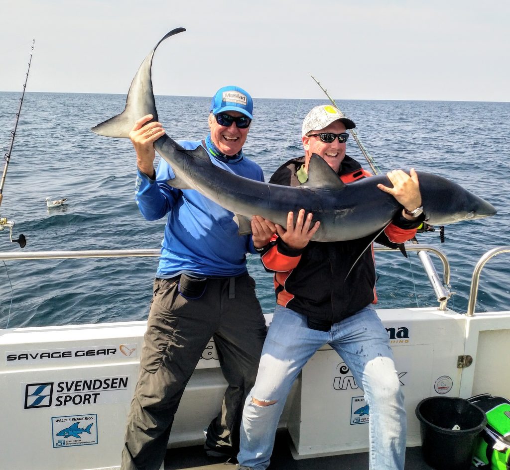 fotos – Wally's shark rigs