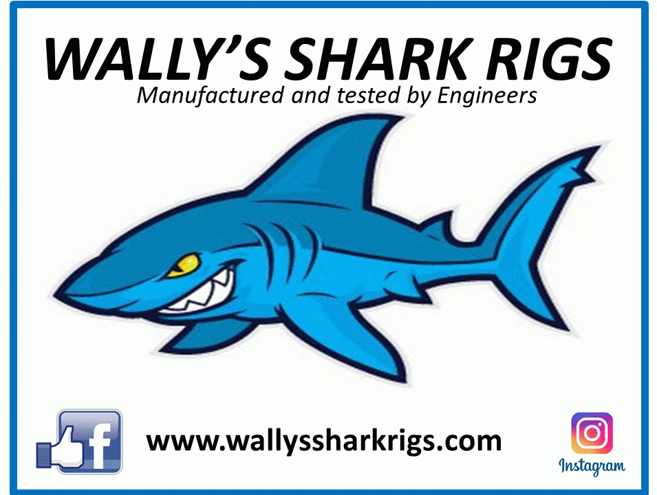 cropped-Wallys-Label-ryan2-1.gif – Wally's shark rigs